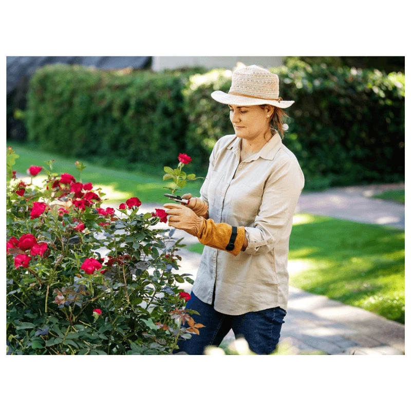 Warum Valentinstag und Rosen untrennbar miteinander verbunden sind ...